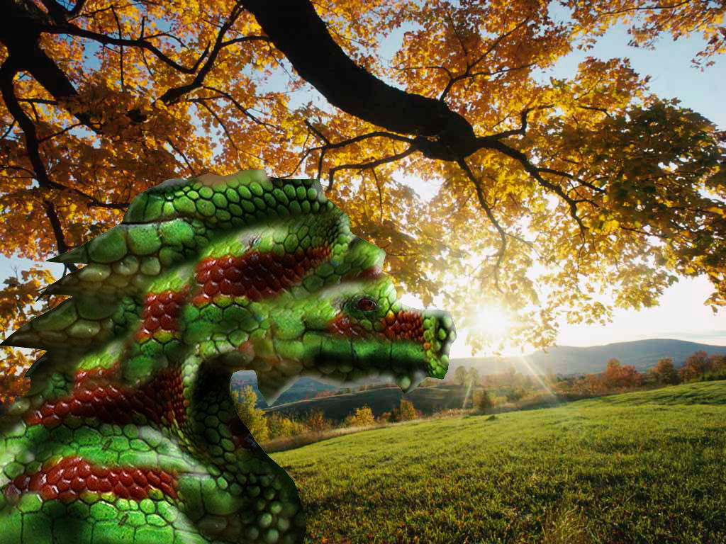 summer dragon by CalmGhosts on DeviantArt