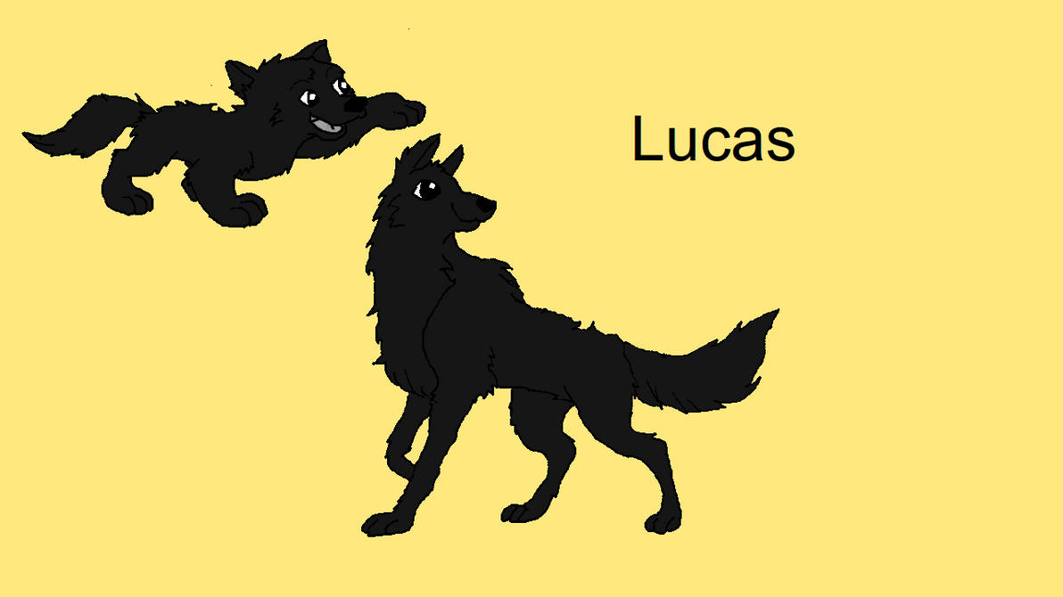 Lucas-the-wolf by Naomy-The-Wolf on DeviantArt