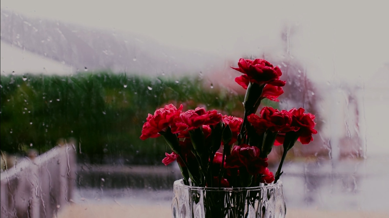 Roses Rain by DivyanshSharma26 on DeviantArt