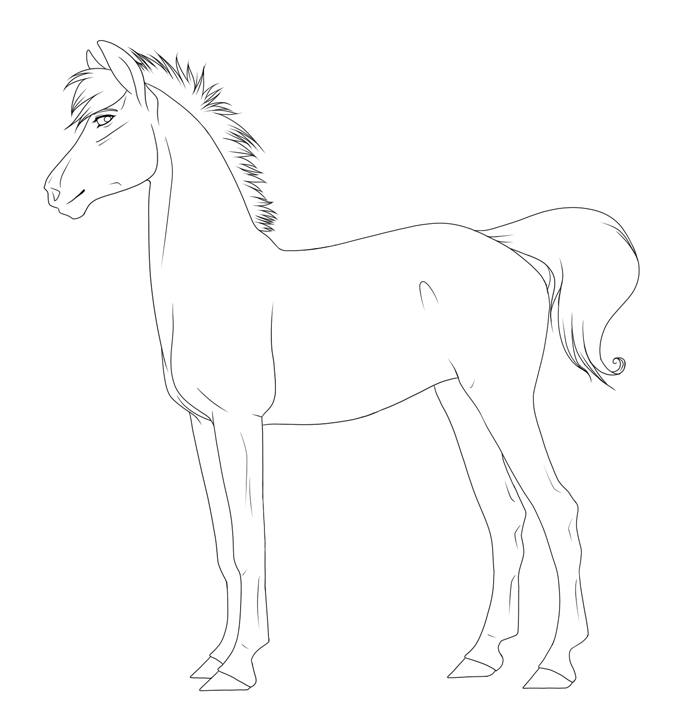 .:Foal Lineart:. by PeaBlueJr on DeviantArt