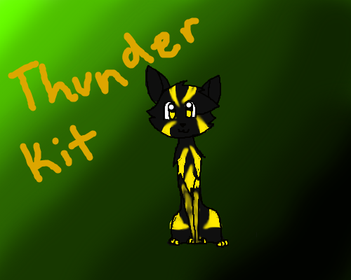 Thunderkit by Moonpebble on DeviantArt