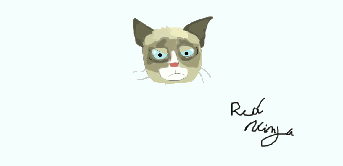 Grumpy cat (Sketch by RedNinjaBull on DeviantArt