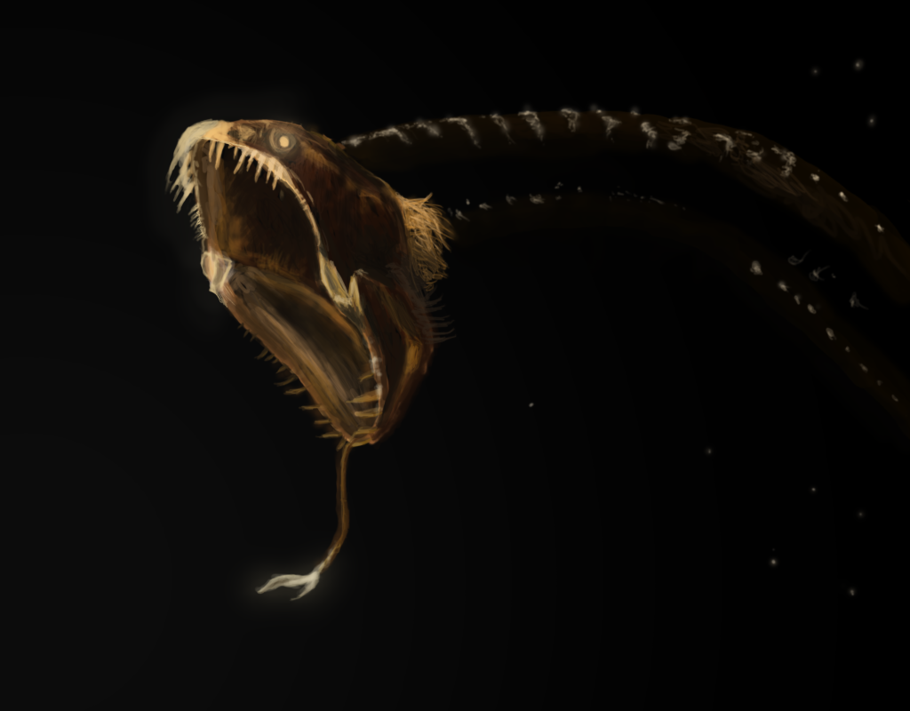 Black Dragon Fish by charlie733 on DeviantArt