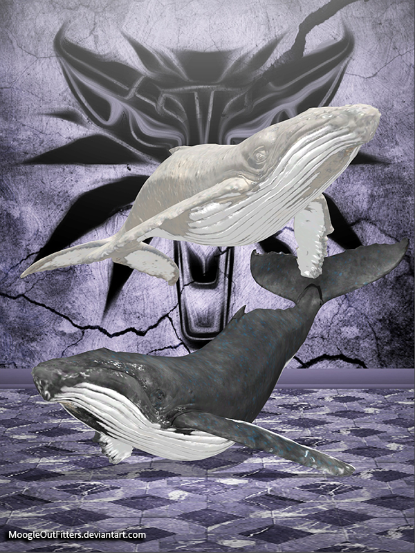 TW3 - Whale (MoogleOutFitters) (XPS) by SonYume on DeviantArt