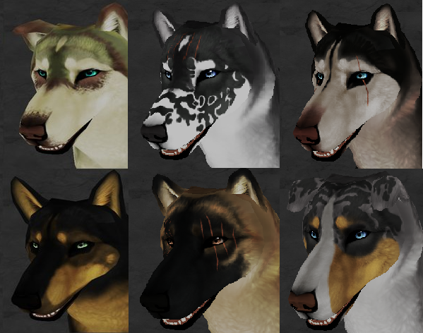 My Arokai markings pack WIP by Roneri on DeviantArt