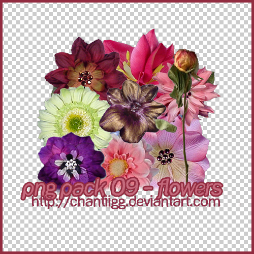 PNG PACK 09 - FLOWERS by ChantiiGG on DeviantArt
