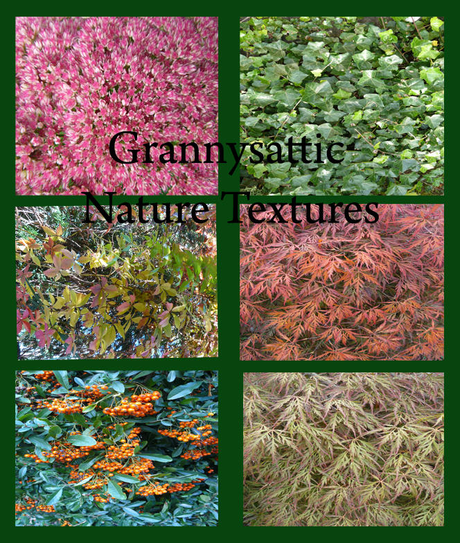 Grannys Nature Textures by GRANNYSATTICSTOCK on DeviantArt