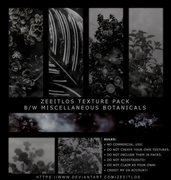 b/w miscellaneous botanicals --- texture pack by zeeitlos on DeviantArt