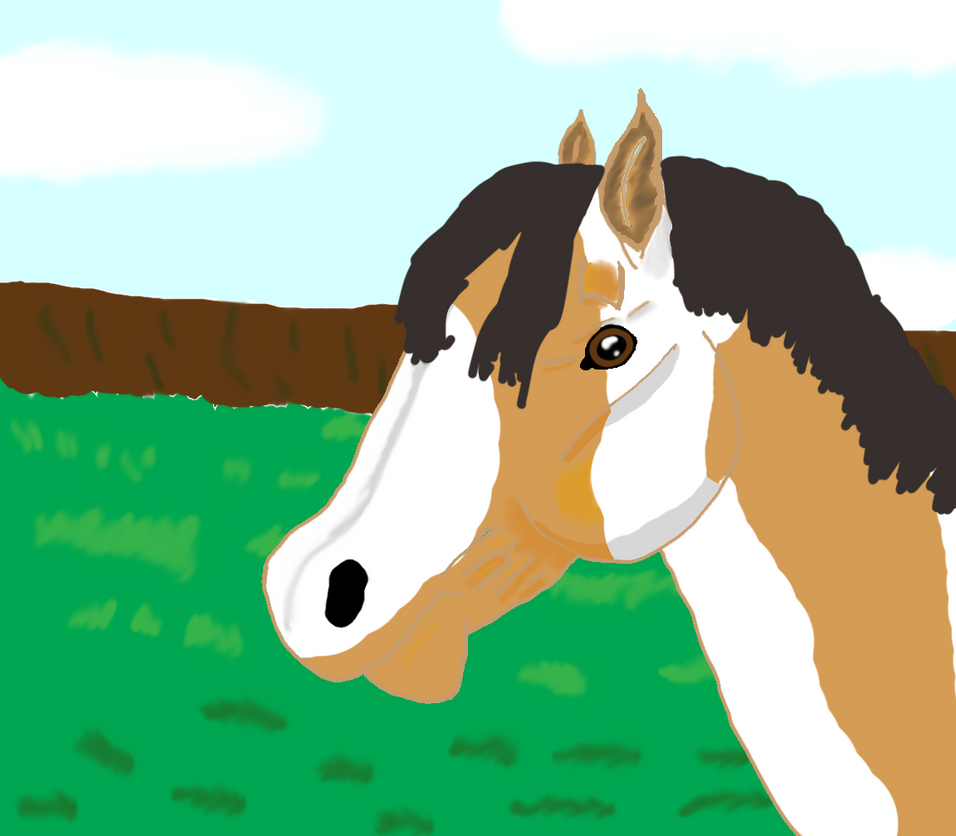 Buckskin (old) by horser52 on DeviantArt
