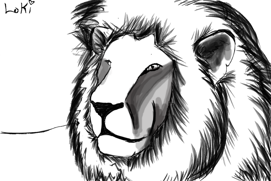 Lion by Glitch0013 on DeviantArt