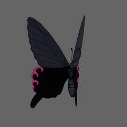 Bleach on Xnalara-Customized - DeviantArt