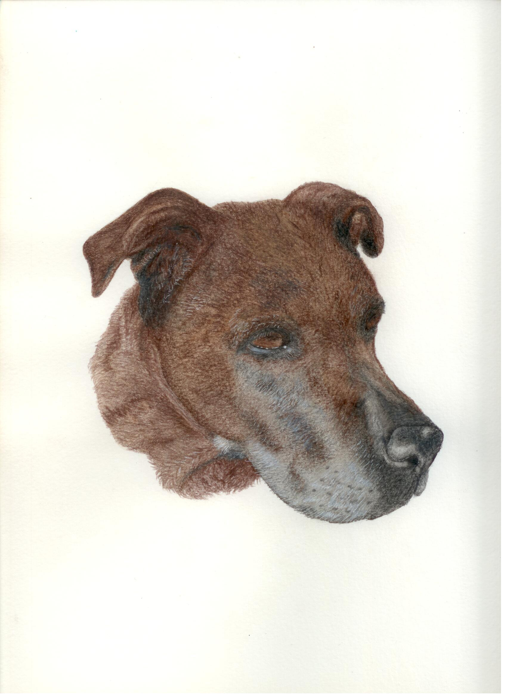 Bubba by Seraphamas on DeviantArt