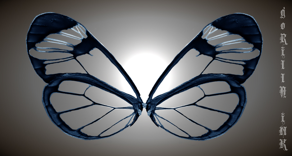 FAERIE WINGS by goRillA-iNK on DeviantArt
