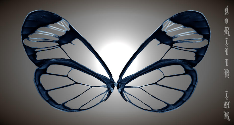 FAERIE WINGS by goRillA-iNK on DeviantArt