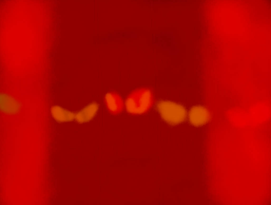 The Bridge:Mutations by Kaiju-Guardian on DeviantArt