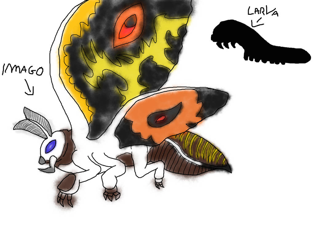 Scientifically Accurated : Mothra by Kaiju-Guardian on DeviantArt