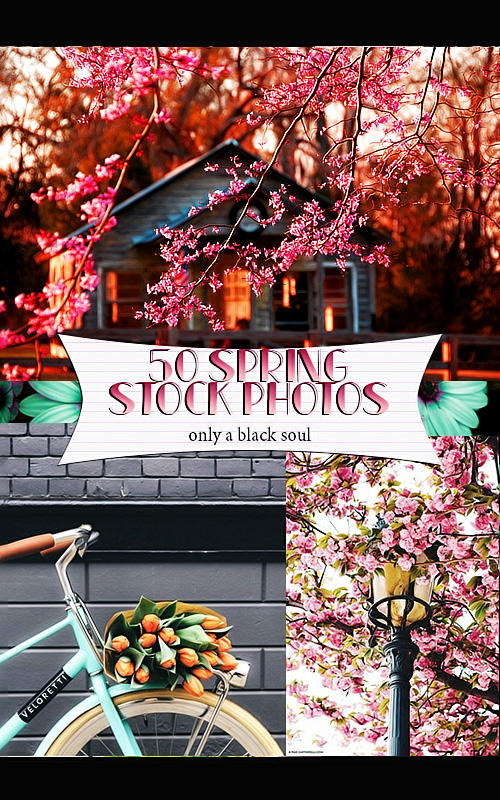 50 SPRING STOCK PHOTOS by onlyablacksoul on DeviantArt