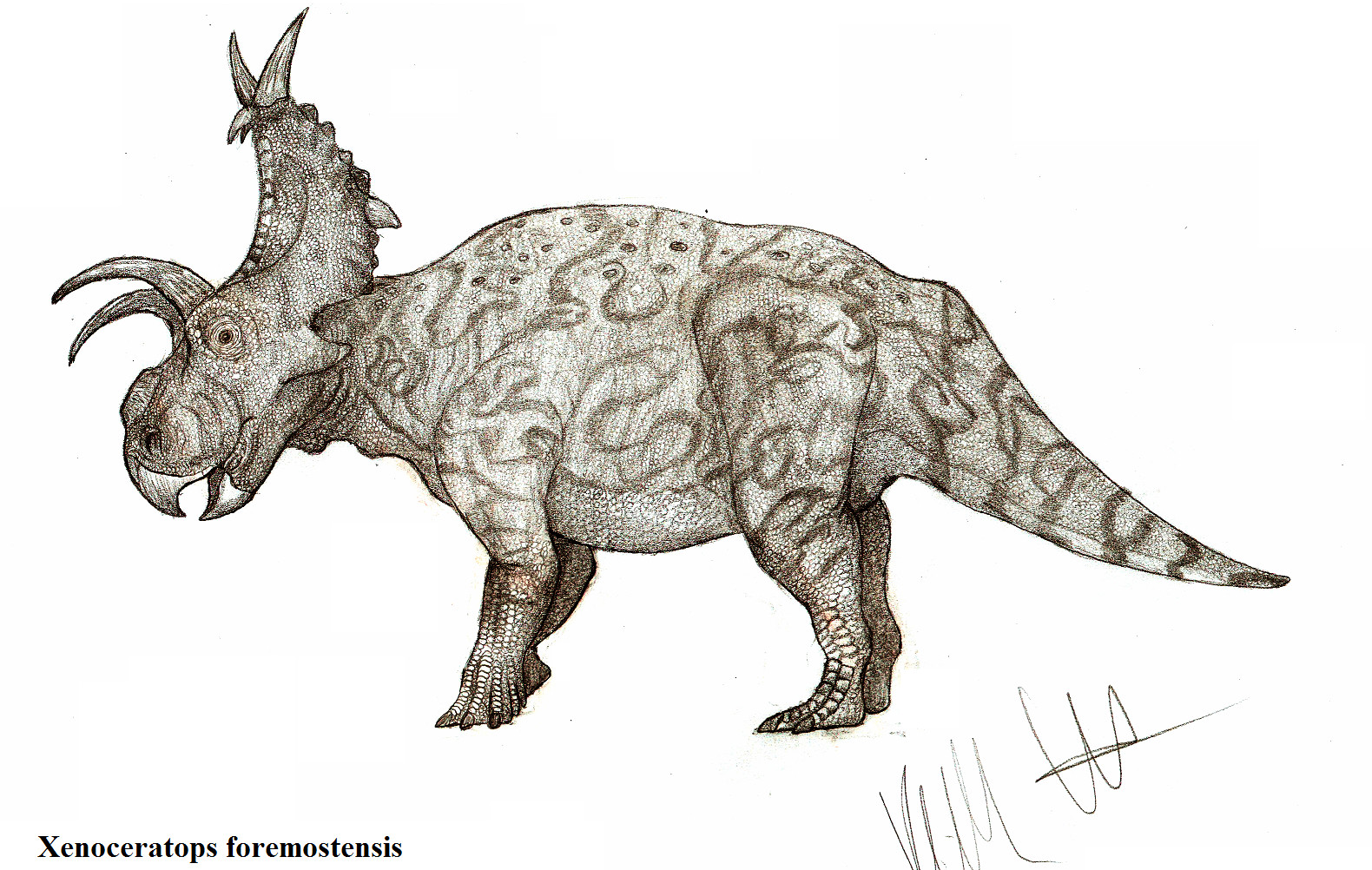 Xenoceratops formostensis by Teratophoneus on DeviantArt