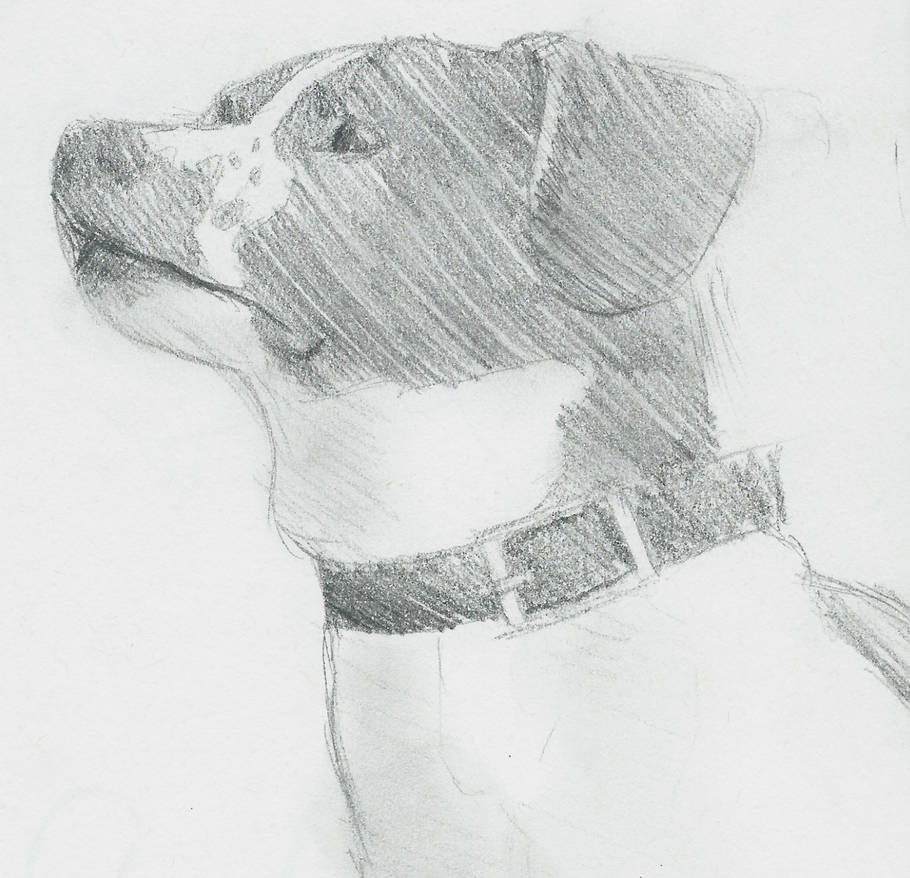 Otis by JustAnOreo on DeviantArt
