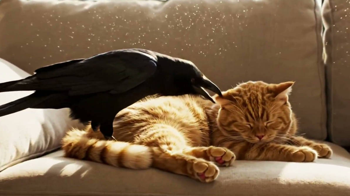 Edgar Meets Roscoe by alexandriabrangwin on DeviantArt