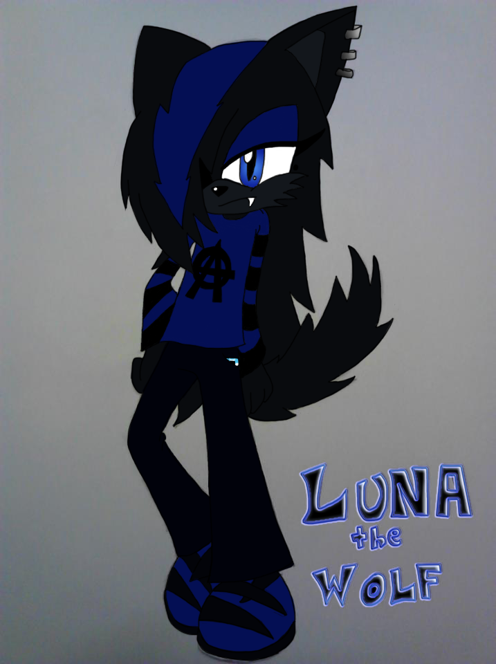 Luna the Wolf (me as a Sonic OC) by DragonNinja14 on DeviantArt