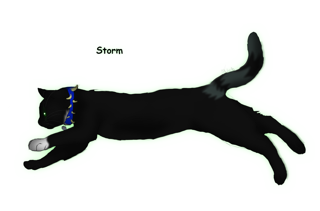 Storm - Realistic [ Running ] by GalaxyBlues on DeviantArt
