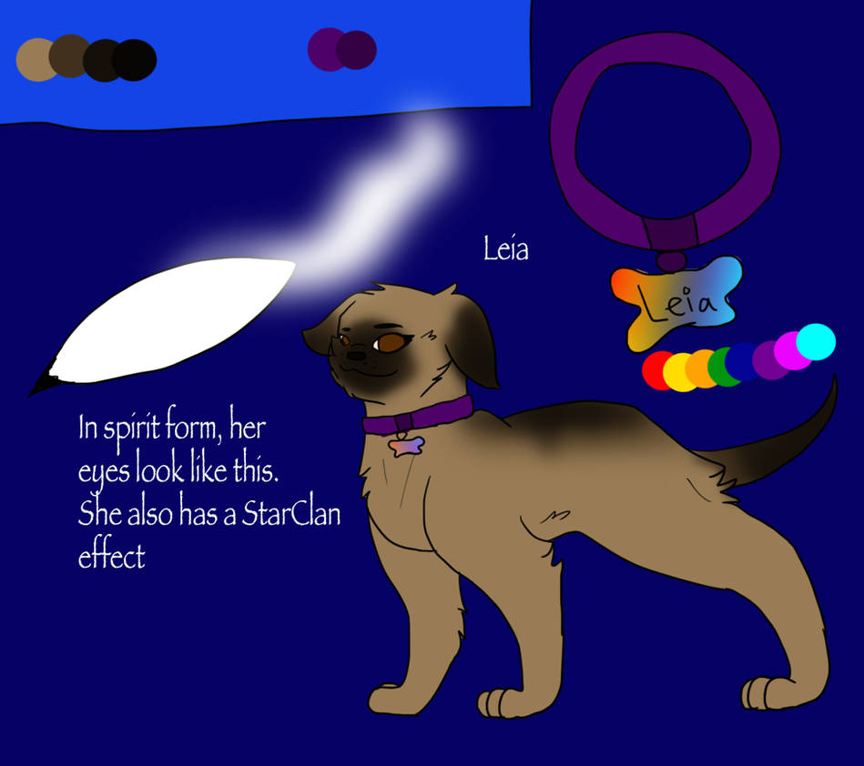 Leia Reference sheet 2016 by GalaxyBlues on DeviantArt