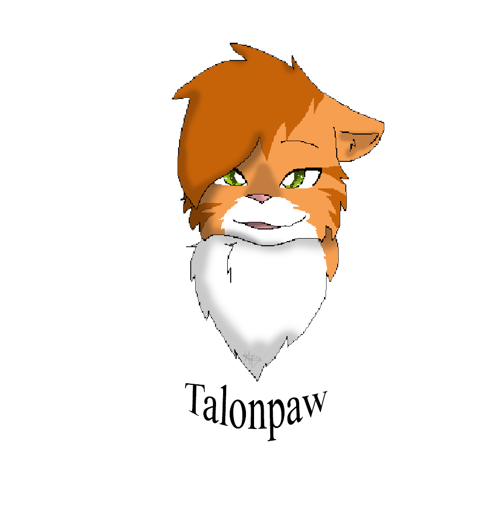 Talonpaw headshot by StormyRyder on DeviantArt
