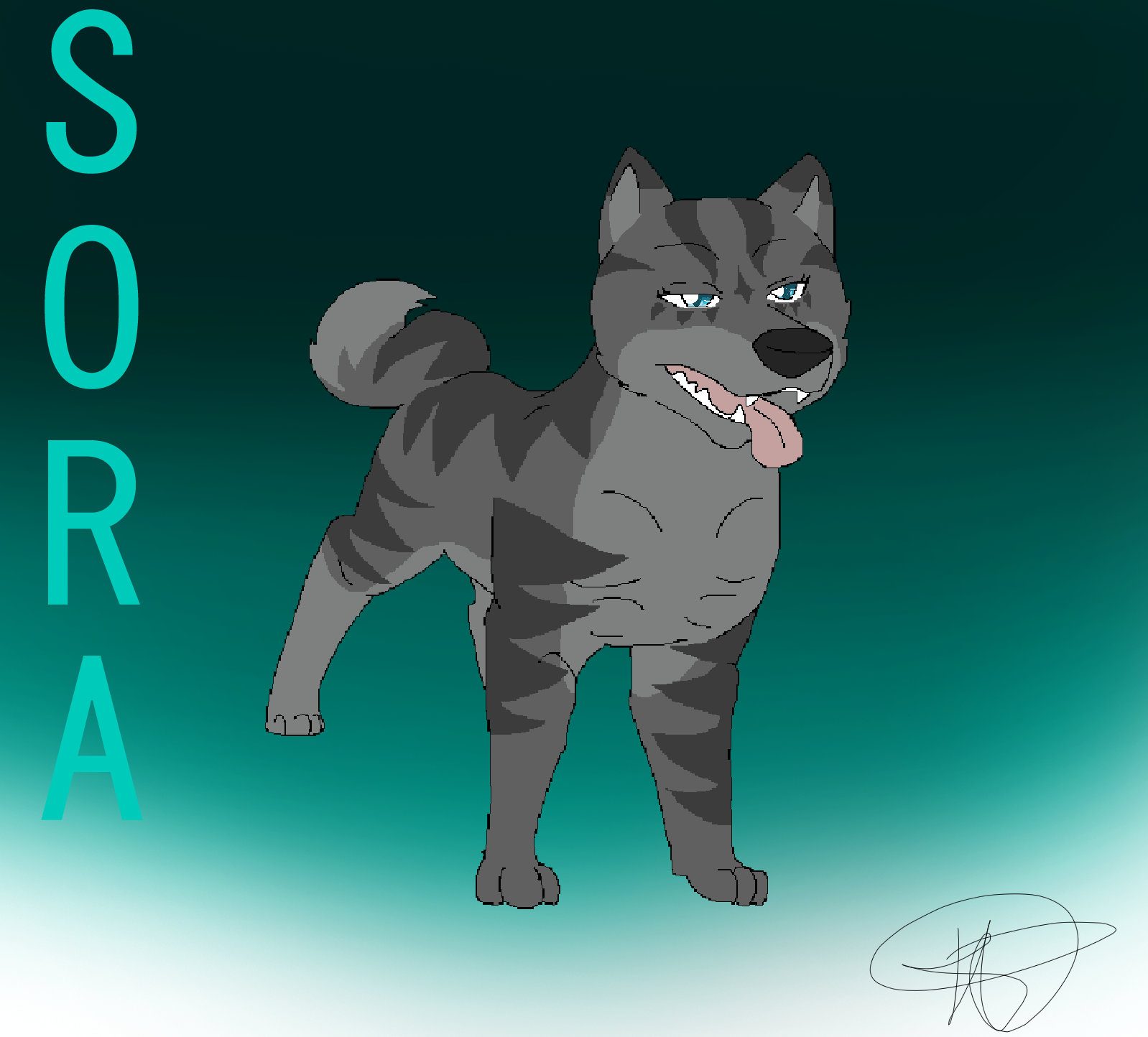 Sora Kai dog by StormyRyder on DeviantArt