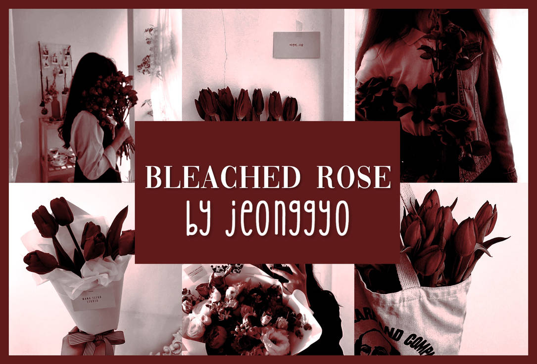 Bleached Rose by Jeonggyo [PSD] by jeonggyo on DeviantArt