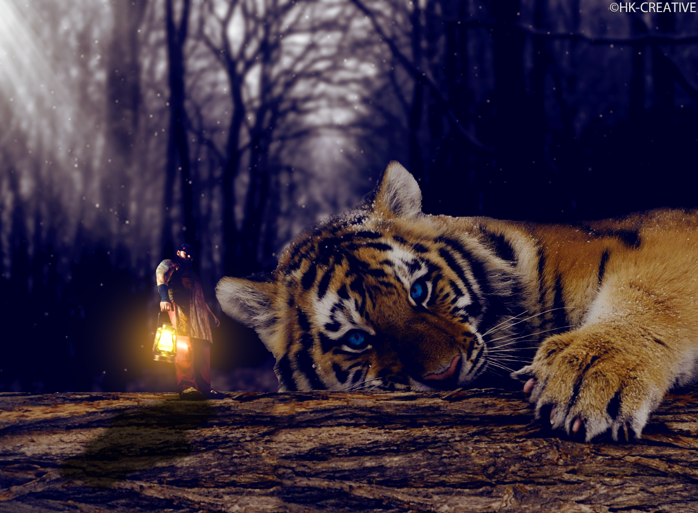 Tiger Photo manipulation by Hajdarkastrati15 on DeviantArt