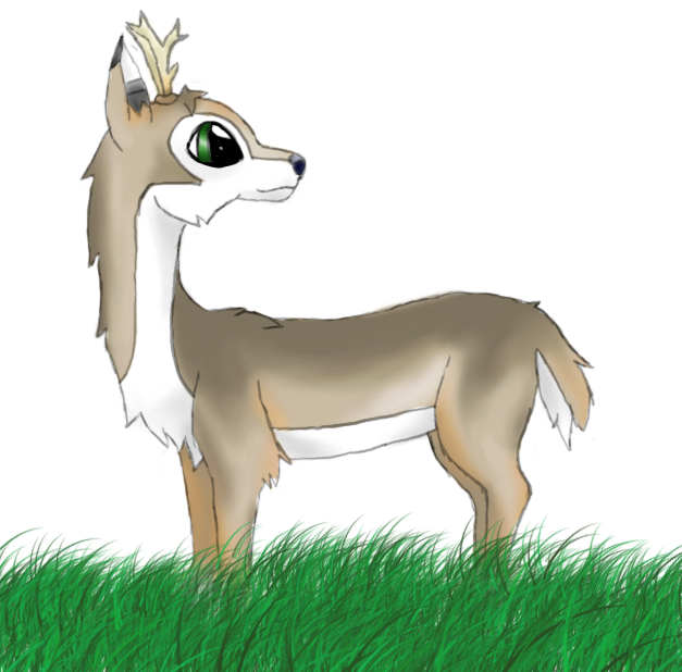 Young stag by WingsofaDream on DeviantArt