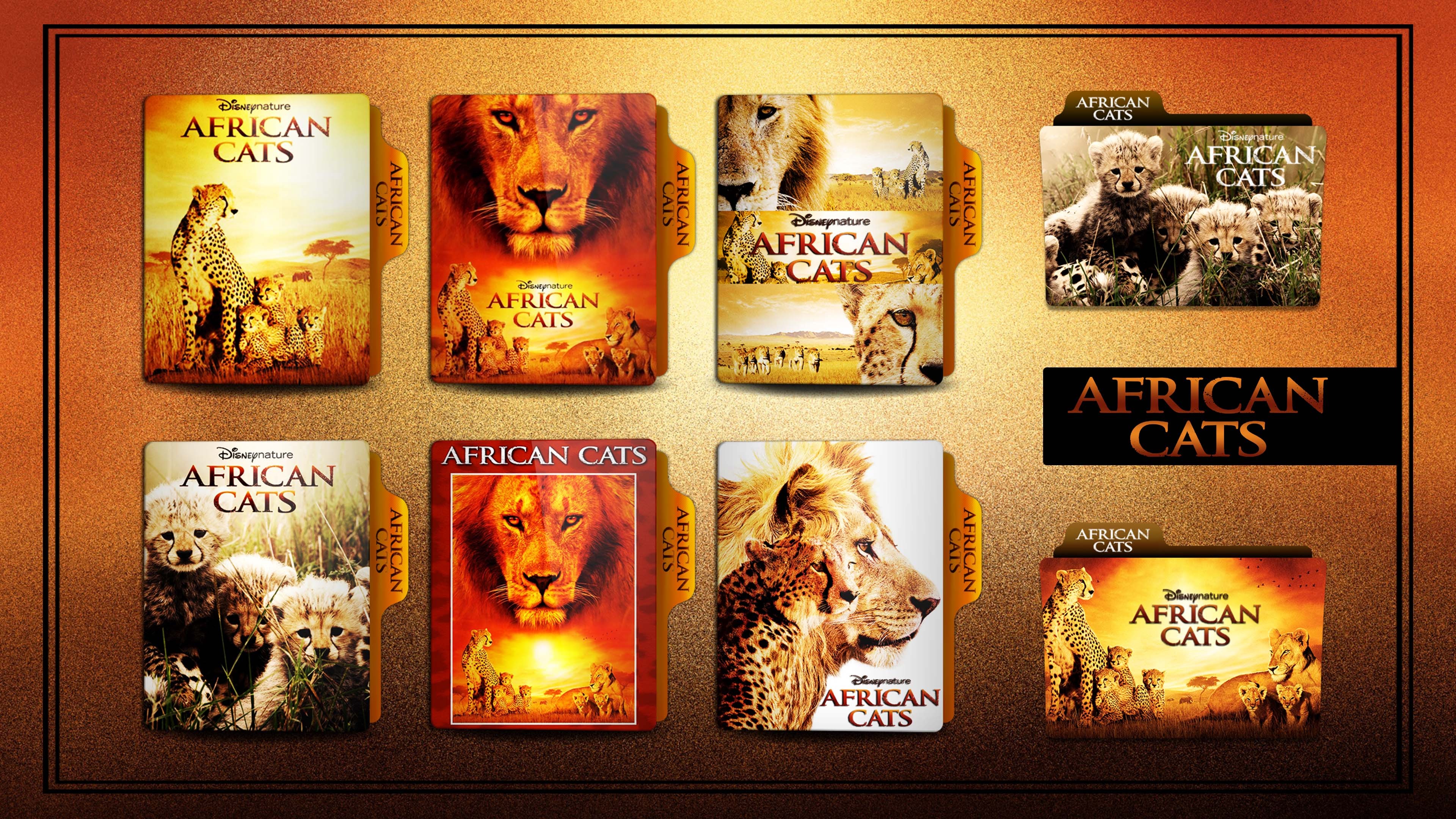 African Cats (2011) folder icon by HNS-Rock on DeviantArt