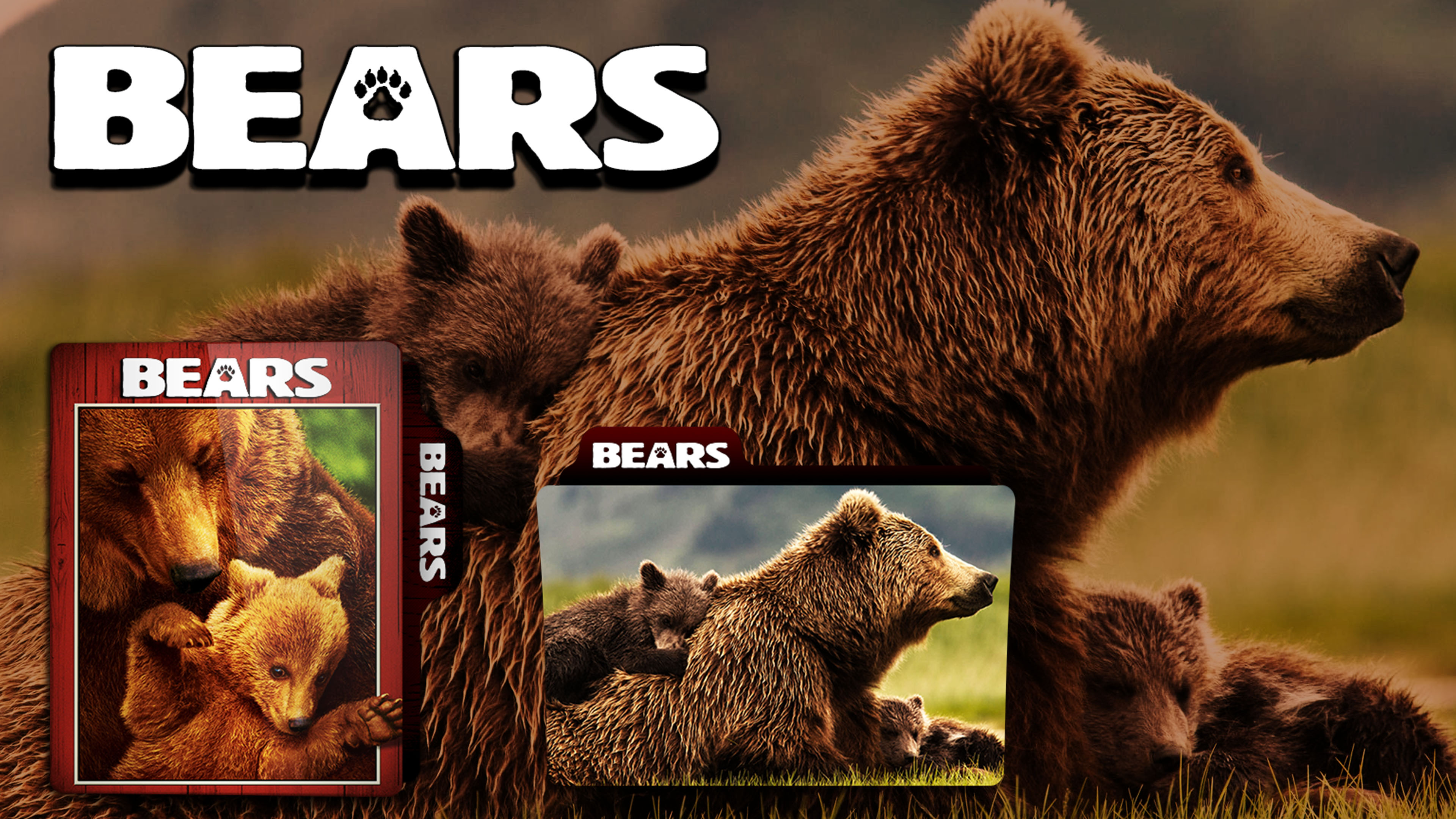Bears (2014) folder icon.V2 by HNS-Rock on DeviantArt