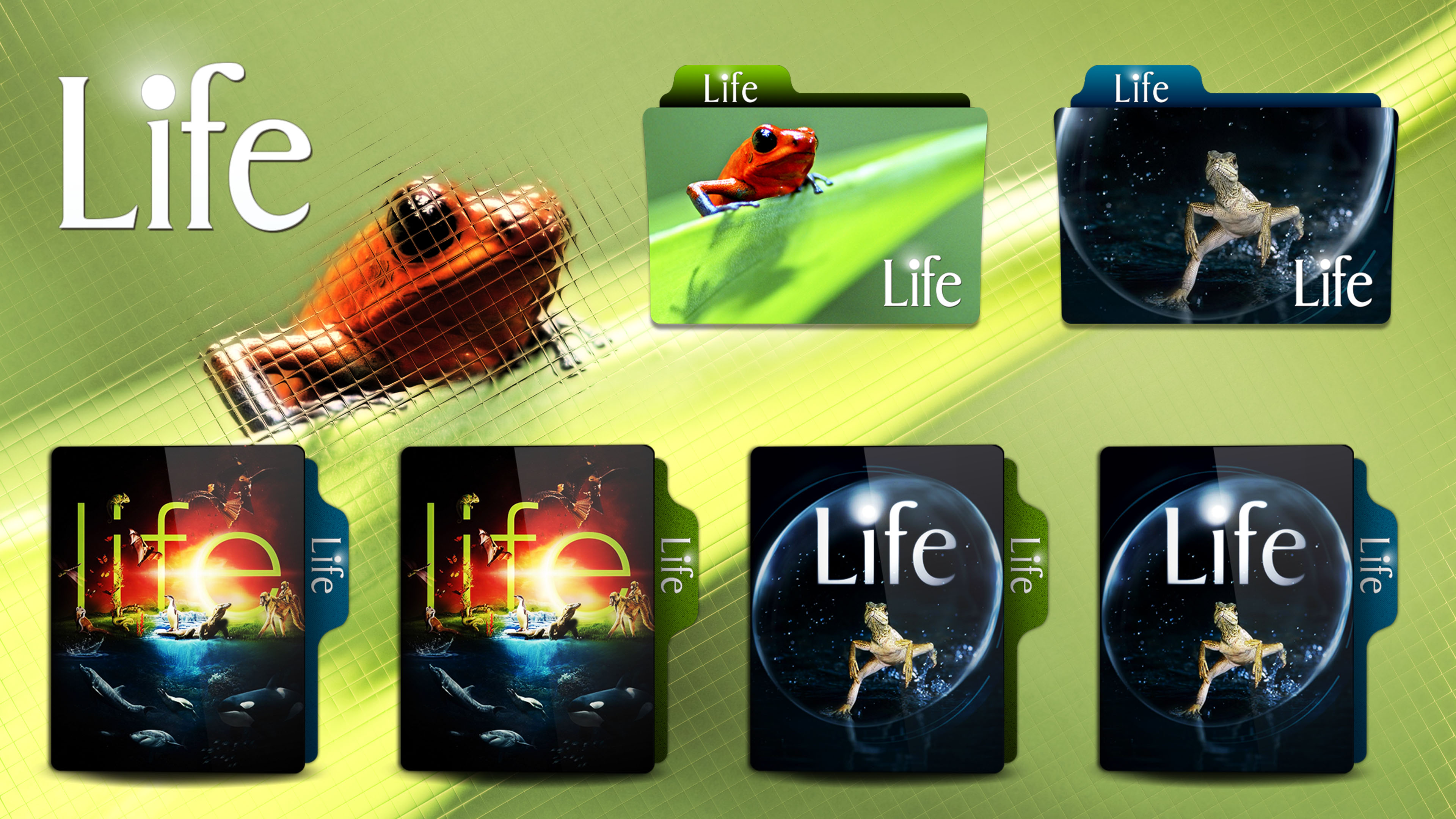 Life (2009) folder icon by HNS-Rock on DeviantArt