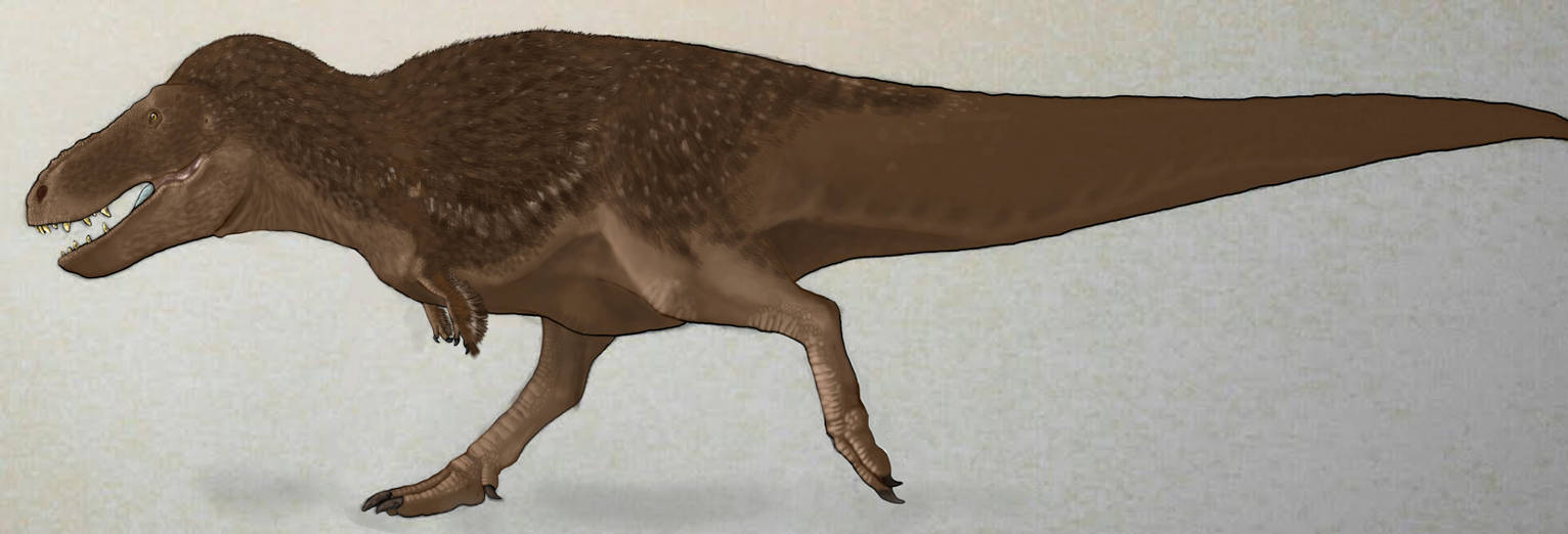 T Rex camouflage fluff II by Dinodc98 on DeviantArt