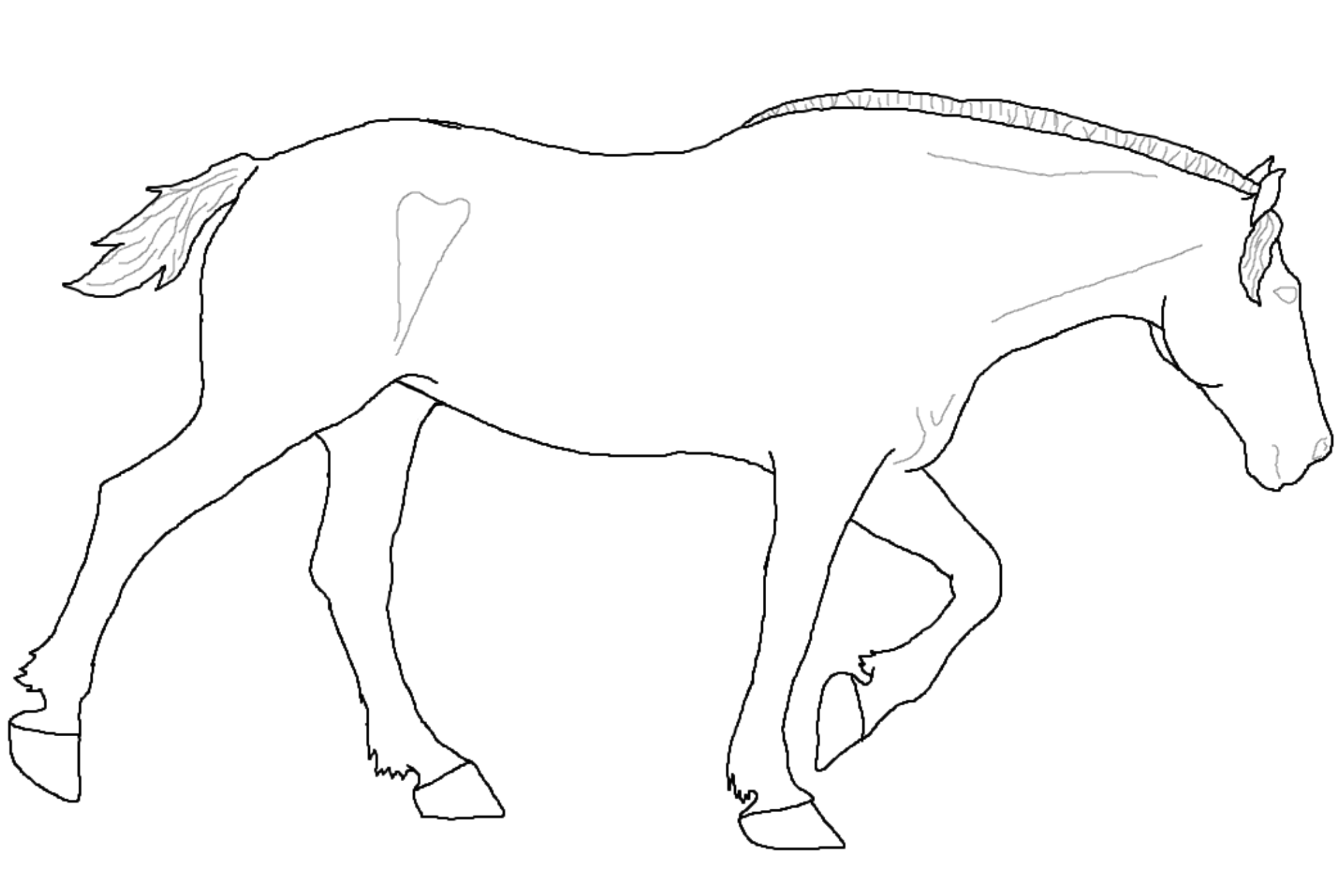 Imperial Mare Lines by ZoieSnyder on DeviantArt