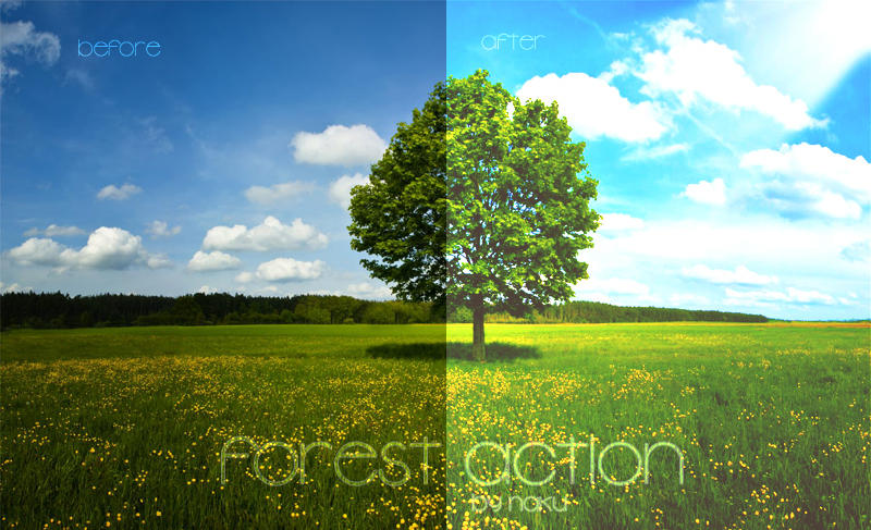 action forest by NaKurox on DeviantArt
