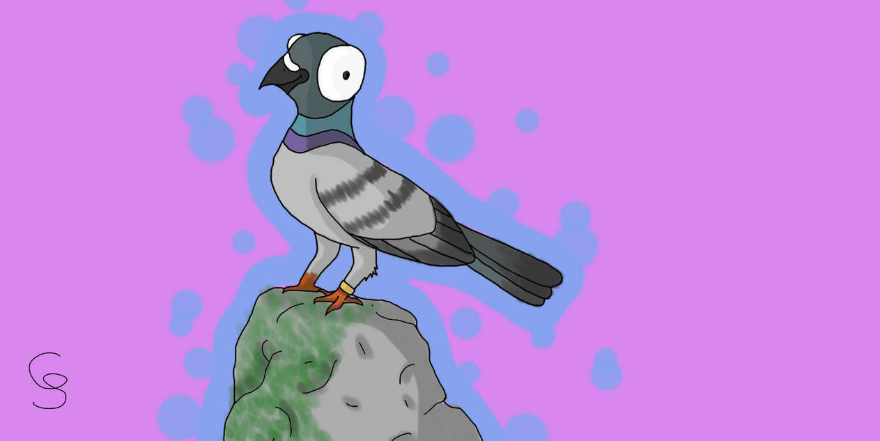 Pigeotto by duck555 on DeviantArt