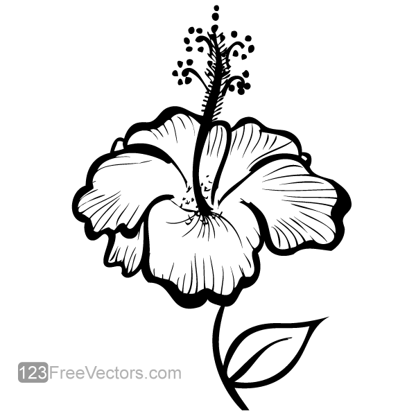 Hand Drawn Hibiscus Flower Vector by 123freevectors on DeviantArt