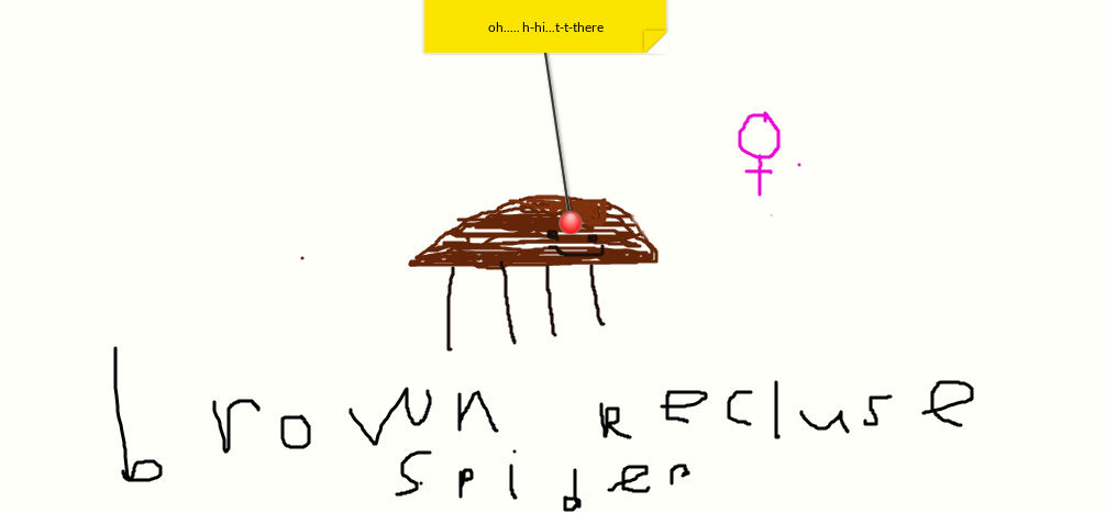 brown recluse spider by objectdude on DeviantArt