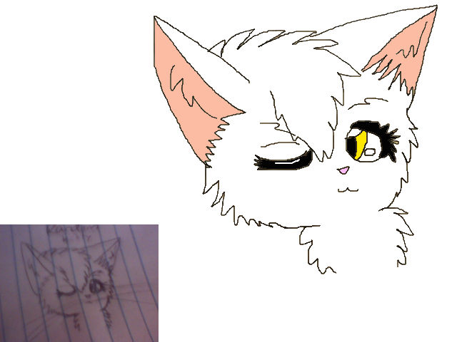 Traditional to Digital Kitty by CrookedAnchors on DeviantArt