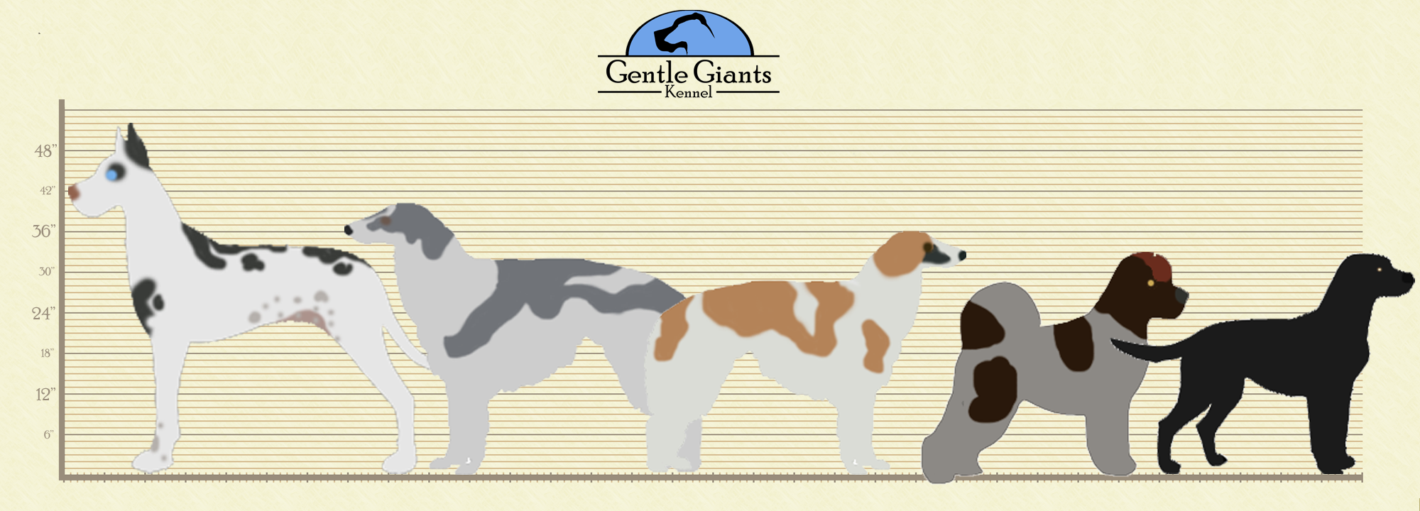 GGK Dog Height Chart by Gentle-Giants on DeviantArt
