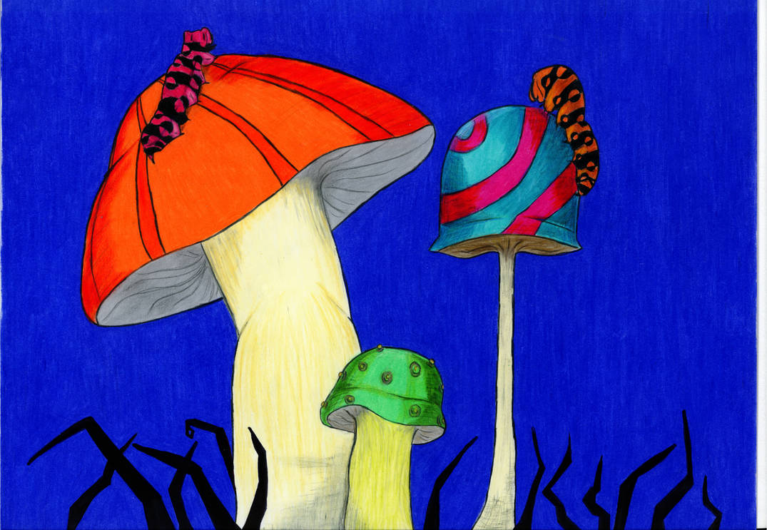 Mushroom night by WallySP on DeviantArt