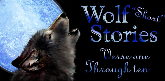 Wolf Stories 'Short' by ParadiseofDarkness on DeviantArt