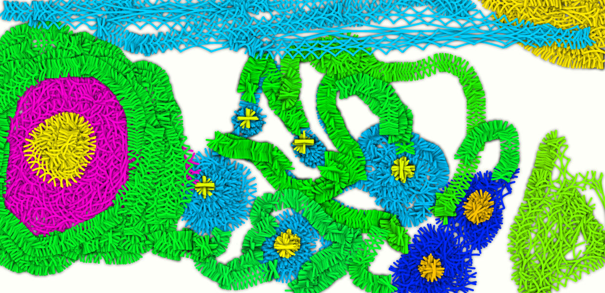 The Flowers Of Destiny by venturiantalefan667 on DeviantArt