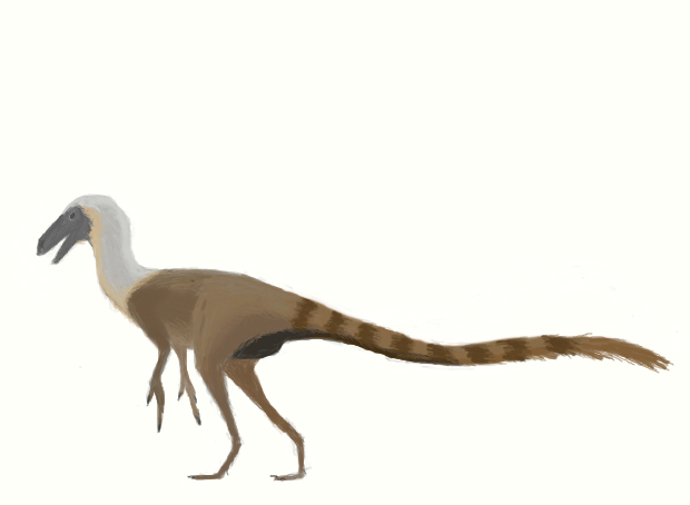Coelurus fragilis by casielles on DeviantArt