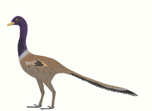 Halszkaraptor escuilliei by casielles on DeviantArt