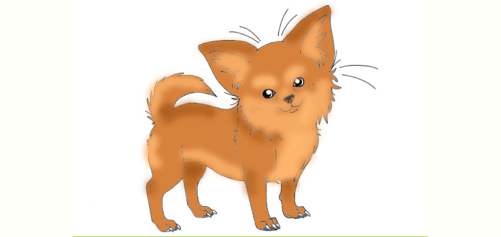 Chuhuahua by SakuraaNekoo on DeviantArt