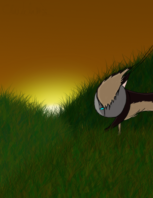 A New Dawn by Cloudclawz on DeviantArt